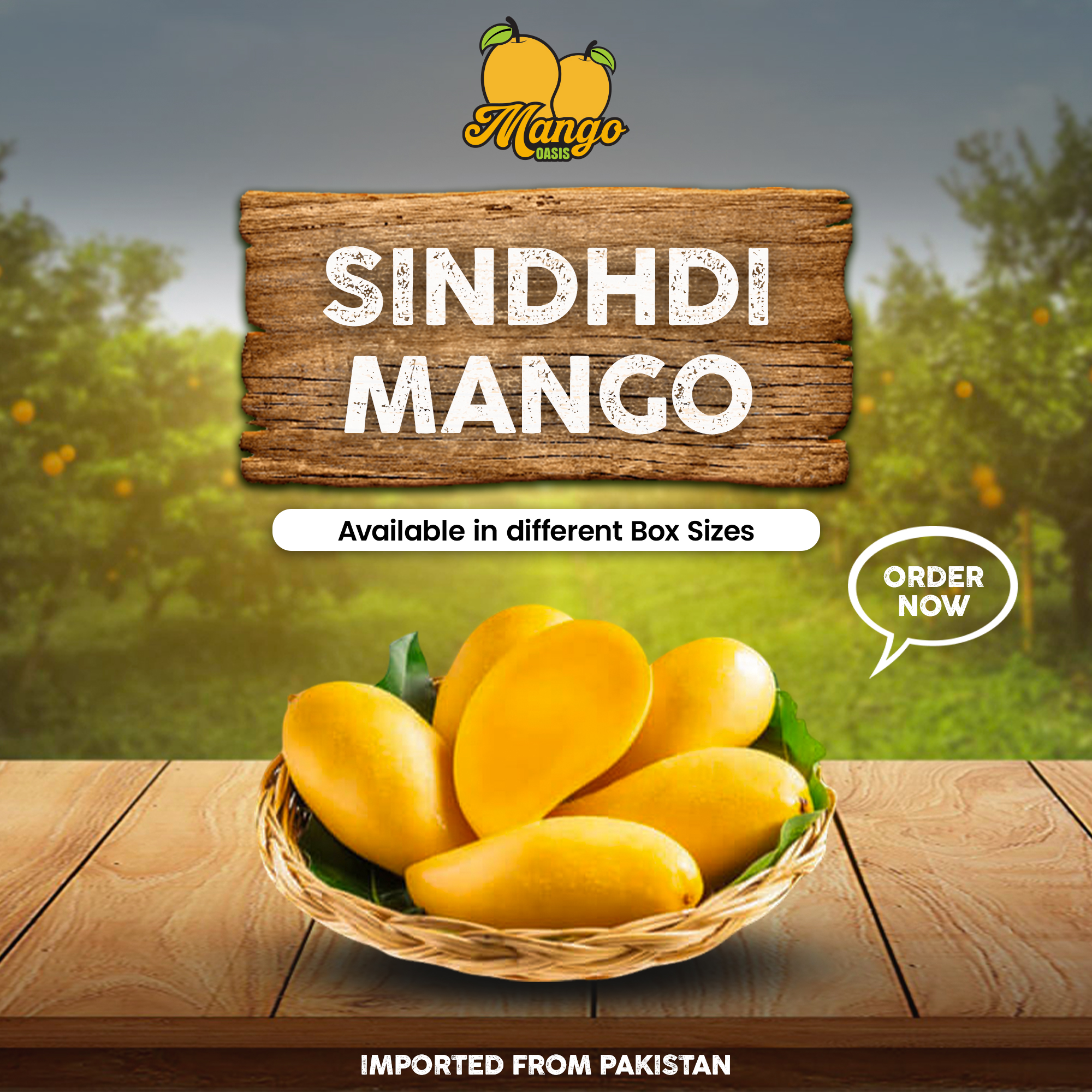 Sindhi Mangoes – MangoOasis UK